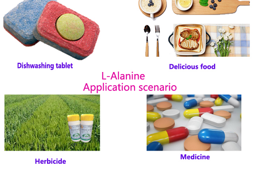 L-alanine vs D-alanine - Maxmedchem